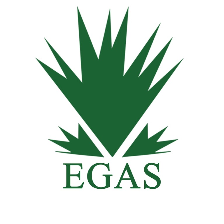 EGAS Launches Bid Round for 12 Oil and Gas Blocks - Petroleum ...