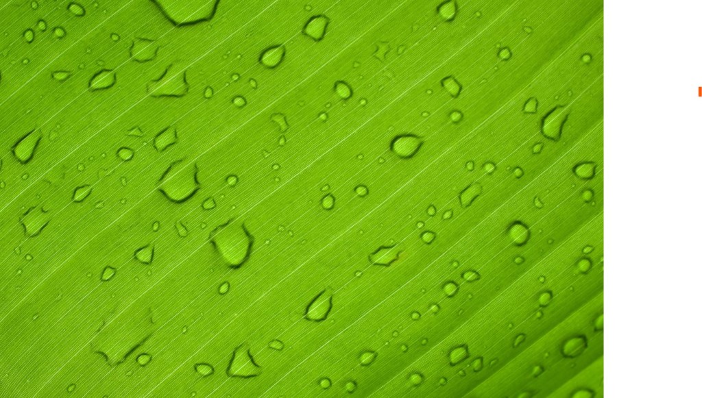 South Africa Launches Dedicated $1 Billion Green Hydrogen SA-H2 Fund ...