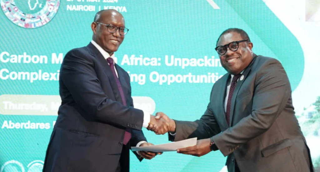 AfDB Joins the African Carbon Markets Initiative to Enhance Climate ...